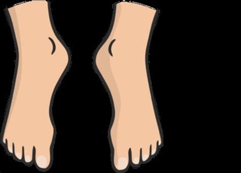 What Is A First Class Lever Types Of Levers STEM Wiki