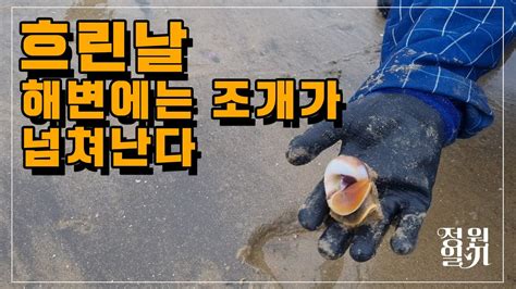 흐린날은 조개 잡는 날 파면 나오는 조개들 너무 많아 YouTube