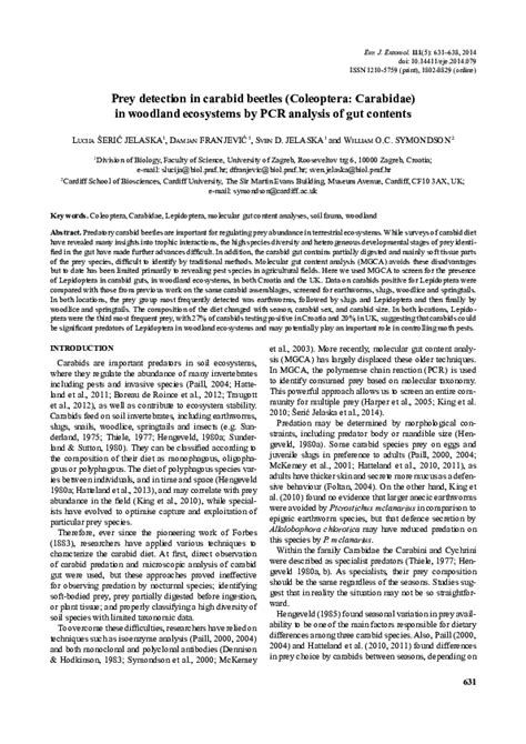 Pdf Prey Detection In Carabid Beetles Coleoptera Carabidae In Woodland Ecosystems By Pcr