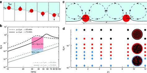 Capillary And Hydrodynamic Effects On Particles At An Oscillating