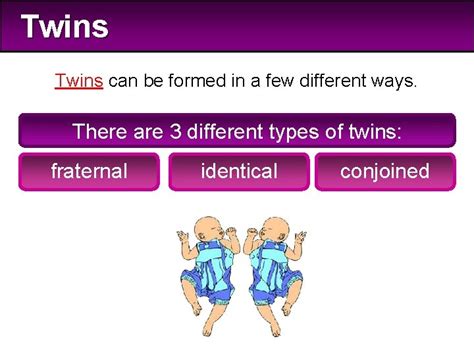 The Reproductive System Part 1 Puberty Question Box