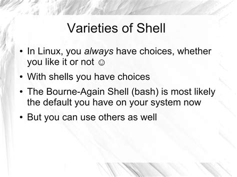 The Shell Game Part 2 What Are Your Shell Choices Ppt