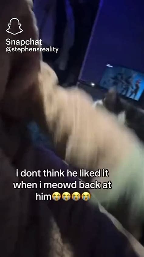 Meow R Perfectlycutscreams