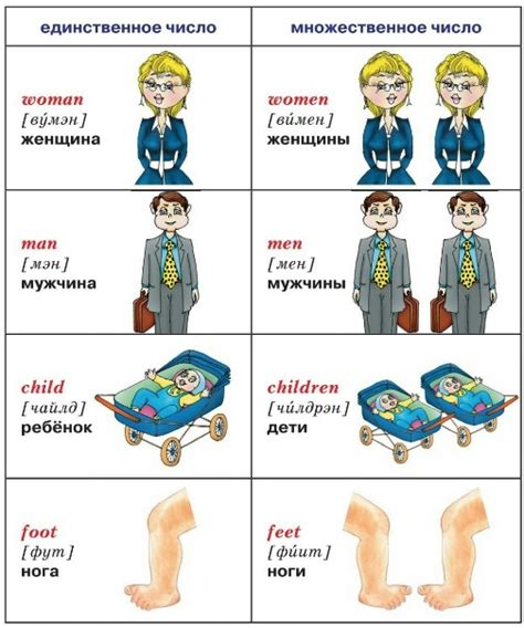 Исключения множественного числа в английском Английский язык для начинающих ВКонтакте