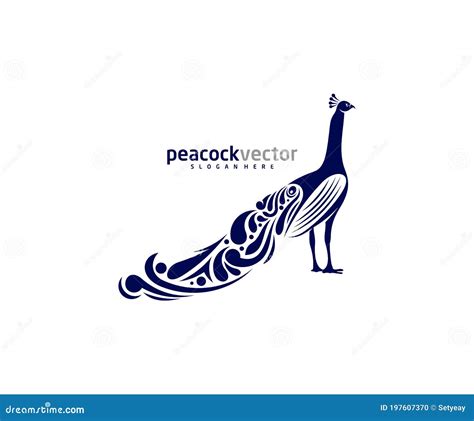 Peacock Logo Design Vector Template Peacock Bird Illustration Stock