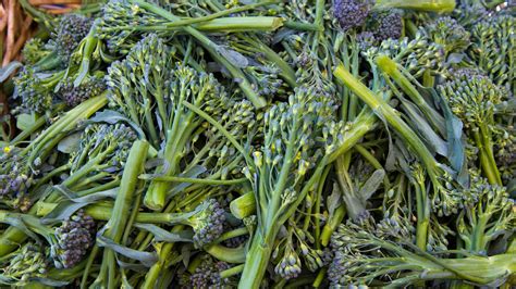 Kale Broccoli Brussel Sprouts Same Plant Different Benefits