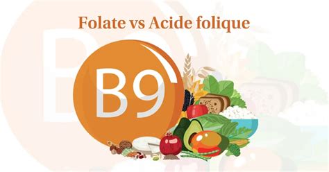 Pourquoi Vous Ne Devriez Prendre Que Du Folate Et Jamais De Lacide Folique