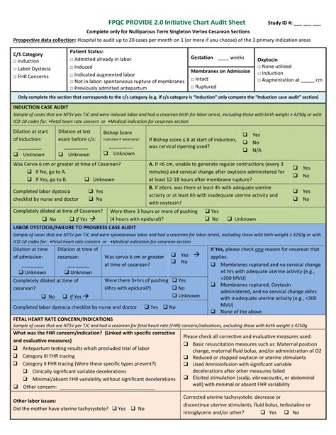 Fpqc Provide 20 Initiative Chart Audit Sheet Docslib