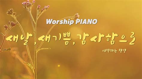 Worship Piano 새날 새 기쁨 감사함으로 시작하는 찬양 Praise Begins With A New Day New Joy And Gratitude