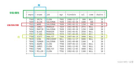 【mysql】探索表结构、数据类型和基本操作 数据表实体、关系、属性 csdn博客