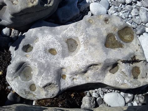 Limestone Dissolution Archives Geological Digressions