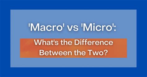 ‘macro vs micro what s the difference between the two