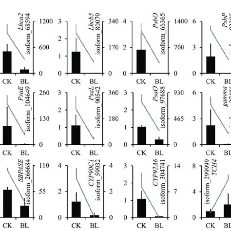 Quantitative Real Time Pcr Verification The Expression Trends Of 18