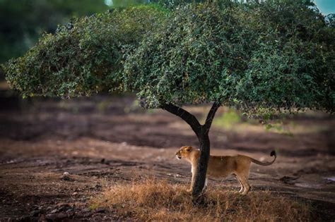 Esha Shah On Linkedin Worklifebalance Photography Hobby