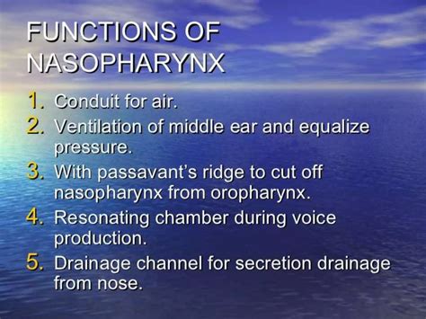Pharynx Anatomy And Physiology Pptx