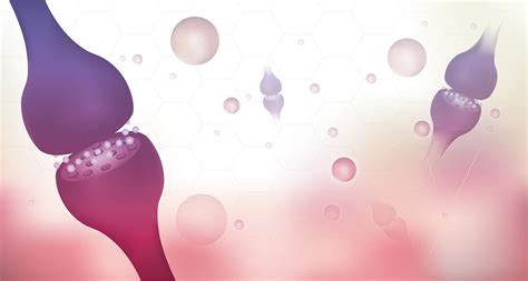 A Simple Guide To The Endocannabinoid System