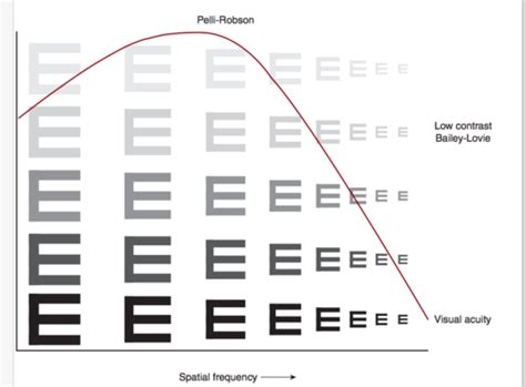 Contrast Sensitivity Flashcards Quizlet