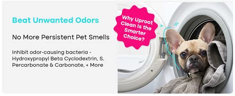 Uproot Clean Washing Machine Cleaner Tablets 24 Pack For