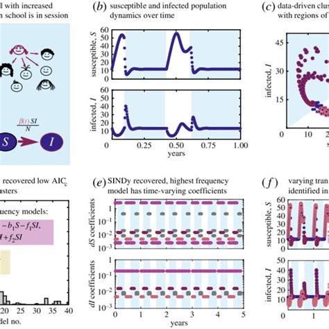 Sparse Selection Of Susceptible Infected Recovered Sir Disease Model