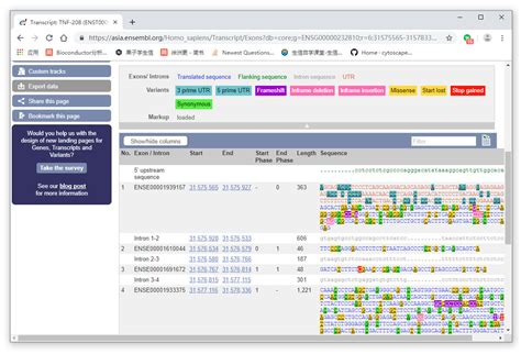 一个绘制基因结构的小工具