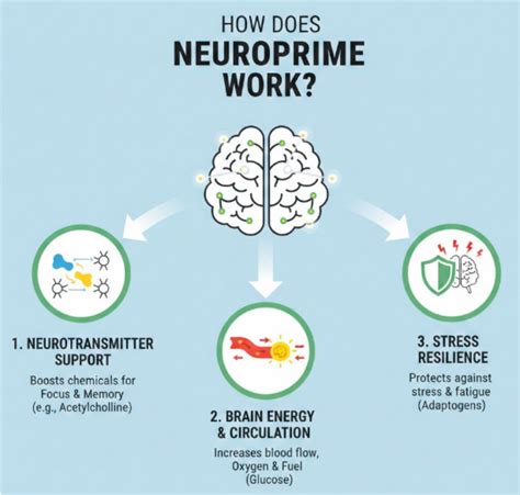 Neuroprime Review Focus Memory And Brain Fog Relief 2025
