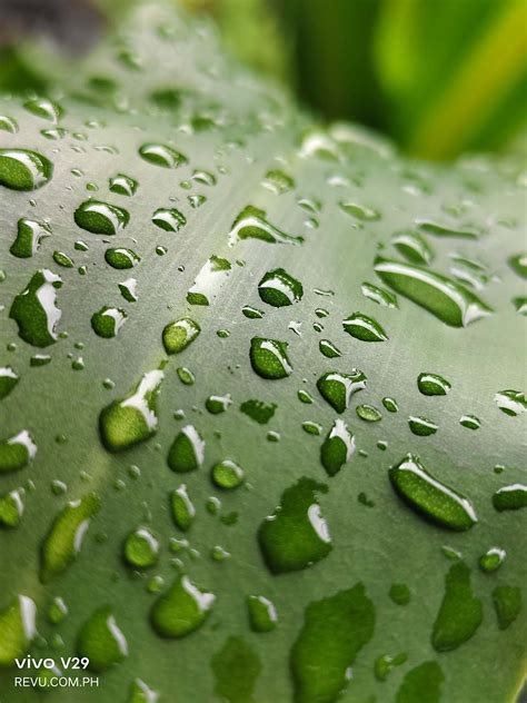 Vivo V G Review Familiar But Welcome Upgrade Rev