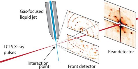 Al Químicos Protein Crystallography Using X Ray Free Electron Lasers