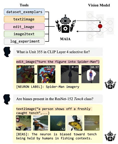 Multimodal Agent Can Iteratively Design Experiments To Better