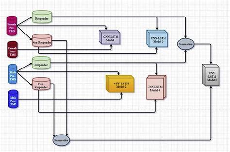 ID Deep Learning Approach To Evaluate Sex Differences In Response To Neuromodulation In