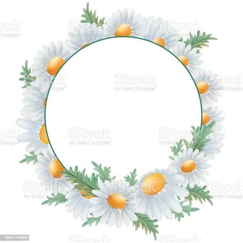 카모마일 블루 옐로우 데이지가 꽃과 녹색 잎이 있는 수채화 손 페인트 플로럴 프레임 빈 카드 템플릿 디자인 0명에 대한 스톡 벡터 아트 및 기타 이미지 Istock