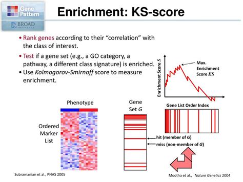 Ppt Gene Set Enrichment Analysis Gsea Powerpoint Presentation Free