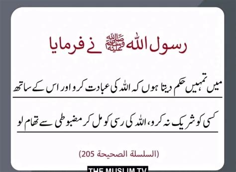 Muhammad Kashif Posted On Linkedin