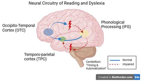 Frontiers Emerging Technologies And Neuroscience Based Approaches In