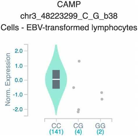 Violin Plots Of Relative Gene Expression Impacted By Rs9844566 Eqtl Of Download Scientific