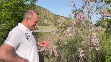 Yovşan Iyi Yulğun Iyi Kəndə Bağlılıq Və Uşaqlıq Illərinin Xatirəsi Youtube