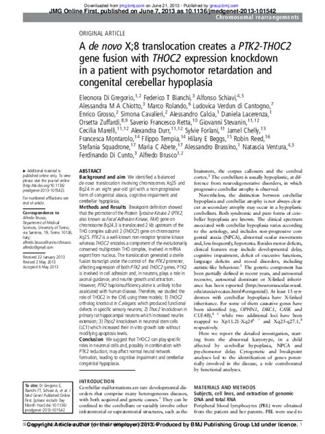Pdf A De Novo X 8 Translocation Creates A Ptk2 Thoc2 Gene Fusion With Thoc2 Expression