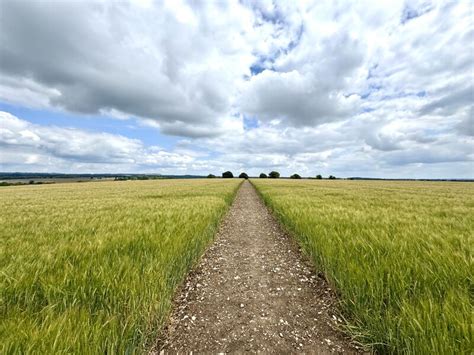 Andrea Boneschi On Linkedin Itgl Cisco Meraki Ccie Ccde