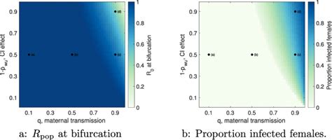 Appearance And Value Of Endemic Equilibrium A Location Of The
