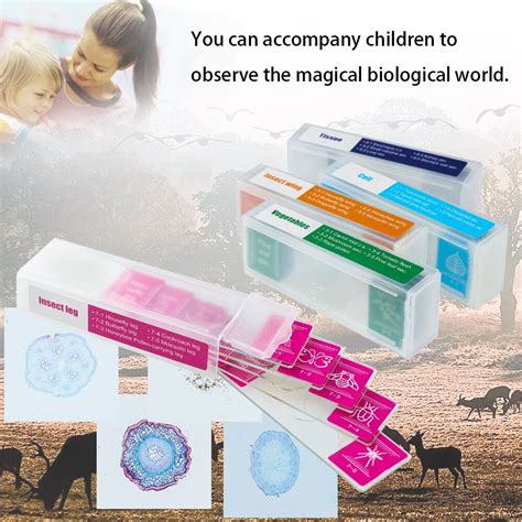 35 Piece Of Colorful Microscope Specimens Biologic Grandado