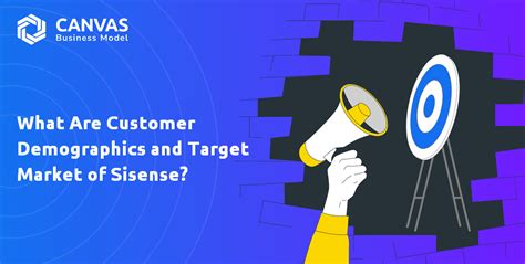 What Is Customer Demographics And Target Market Of Sisense Company