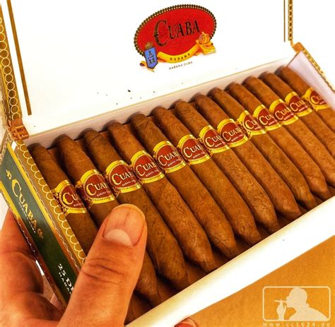 Cuaba Divinos Single Cigar