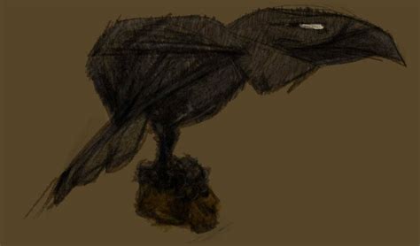 Raven By Argema Brassingtonei On Deviantart