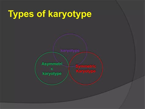 Karyotype Andidiogram Pptx Genetics Science