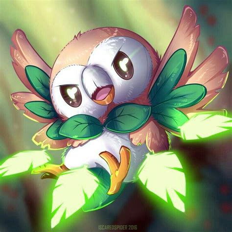 Pokemon Sun And Moon Wallpaper Pokemon Rowlet 736x736 Wallpaper