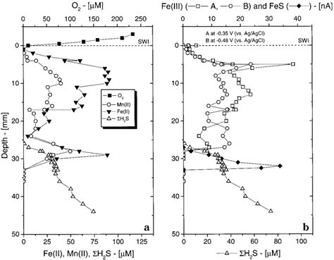 Sediment Porewater Profiles Of A O2 Mn Ii Fe Ii And ∑h2s In µm Download Scientific