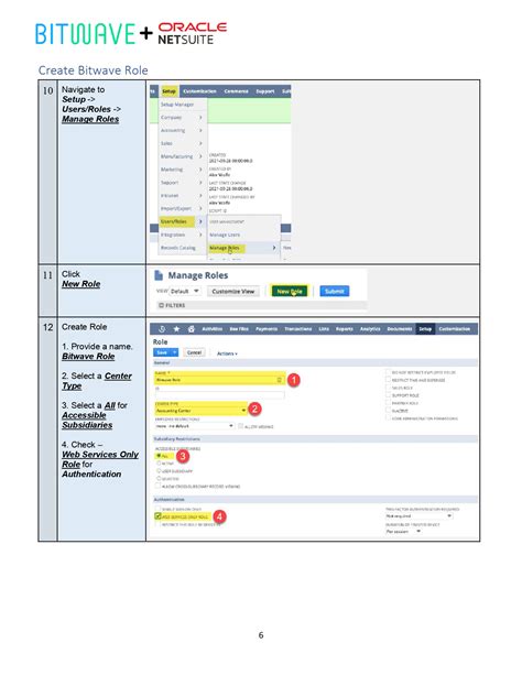 Netsuite Connection Guide