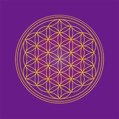 生命之花成長空間 Zhubei