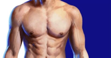 Why Do Girls Like These Body Types Girlsaskguys