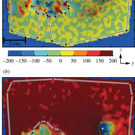 An Example Of The Cross Sectional Wake Structure Behind P Auritus A