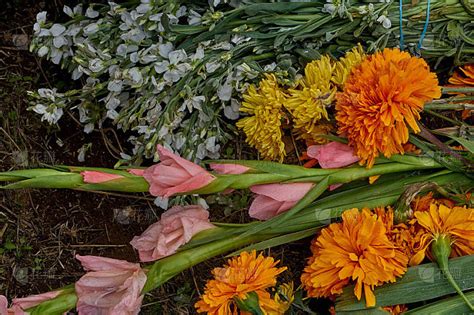 传统送花，祭奠死者，祭奠墓地